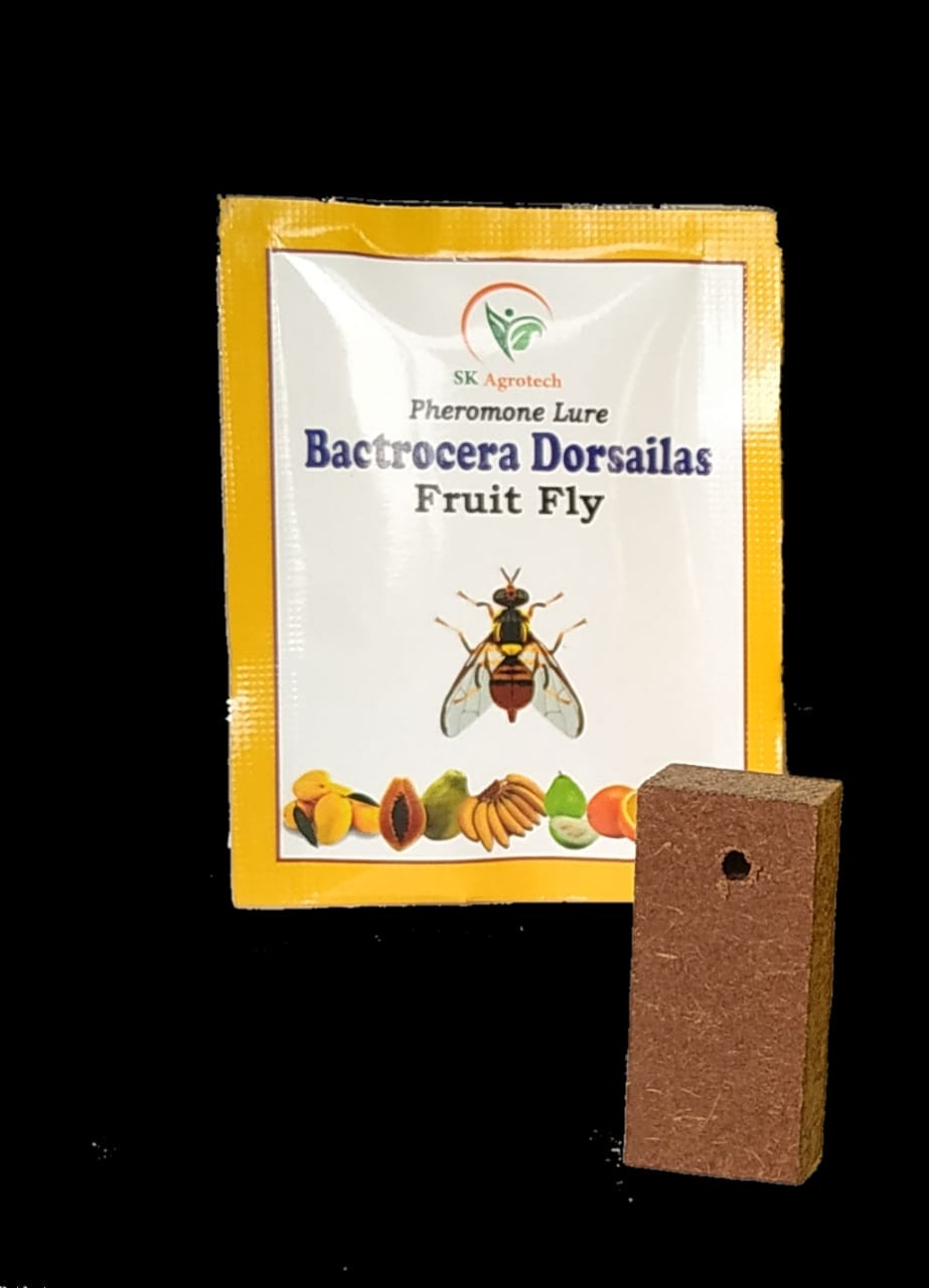 Fruit fly pheromone trap & Lure