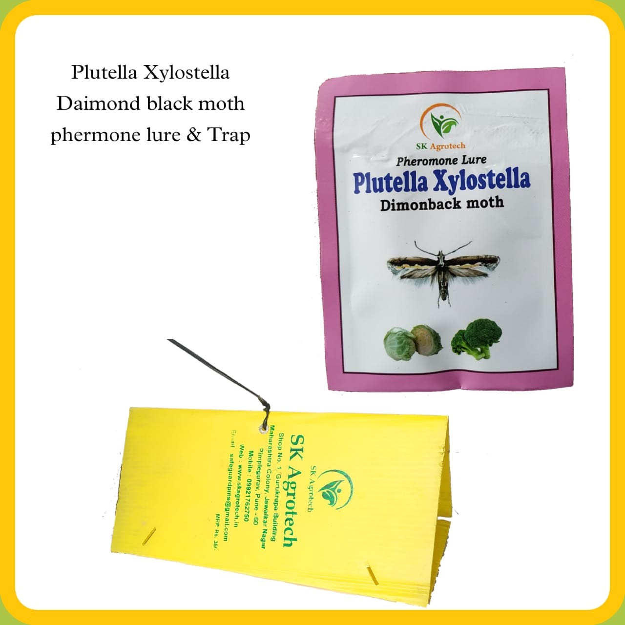 Plutella Xylostella Daimond Black Moth pheromone lure & Delta Trap